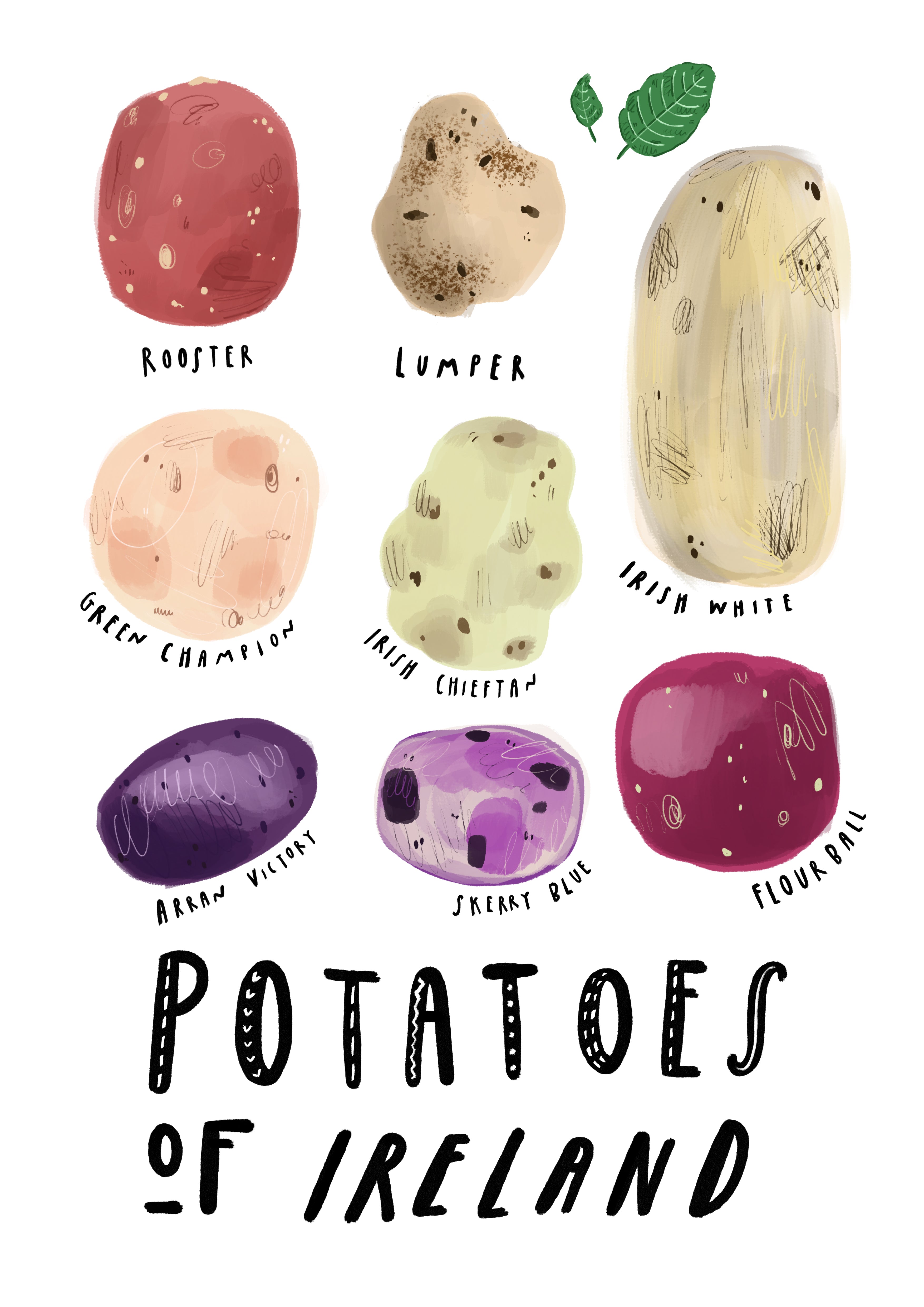 Potatoes of Ireland Print – PeterPaintsPictures